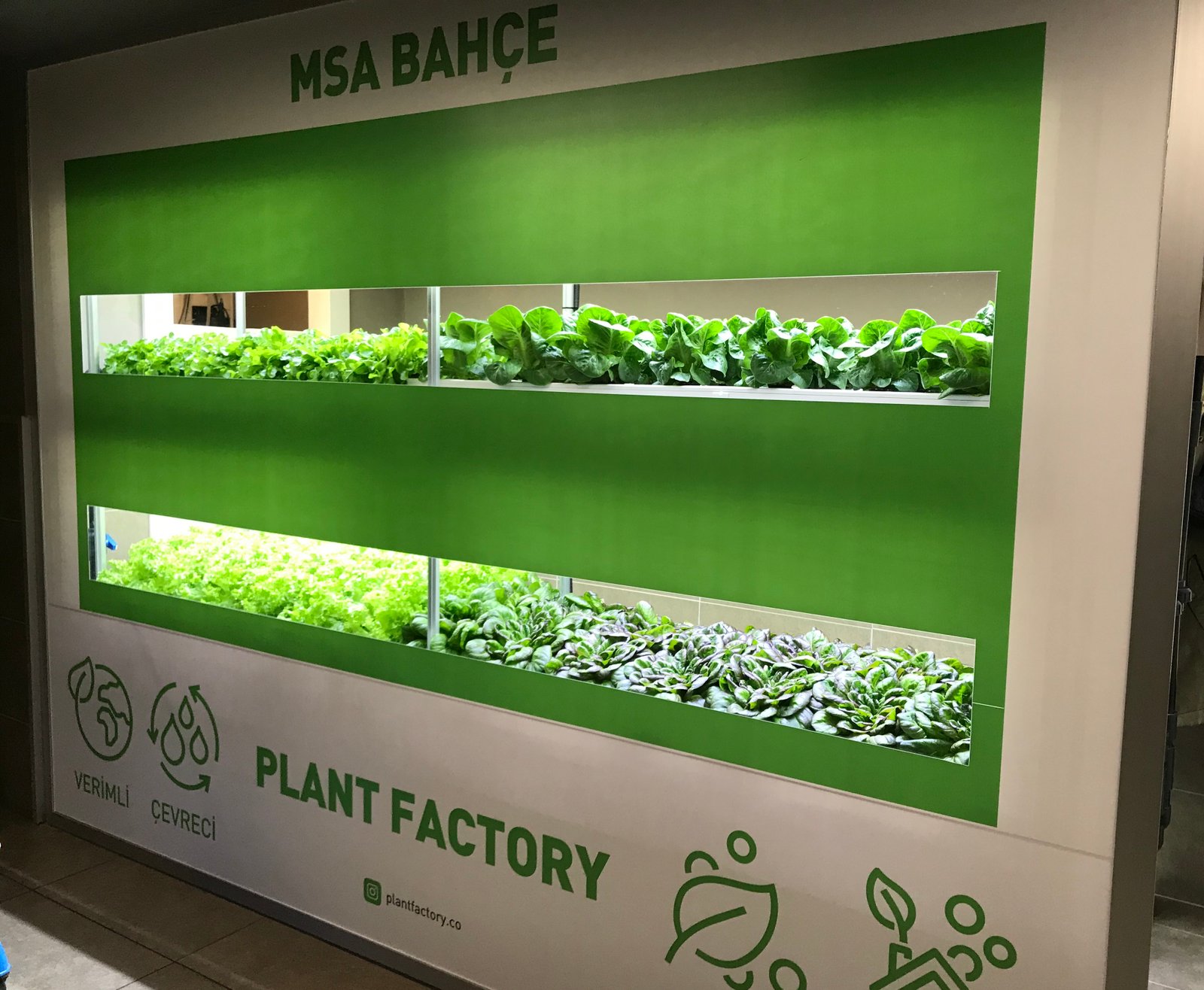 MSA ve Plant Factory Dikey Tarımda Bir İlke İmza Atıyor